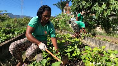 Brazil's flourishing community gardens