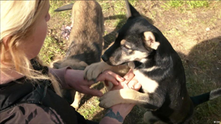 The volunteers rescuing pets left behind in Ukraine
