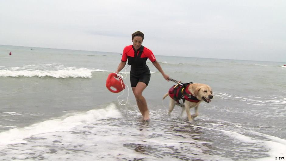 Baywatch on Four Paws - Italy's Rescue Dogs – DW – 04/08/2022