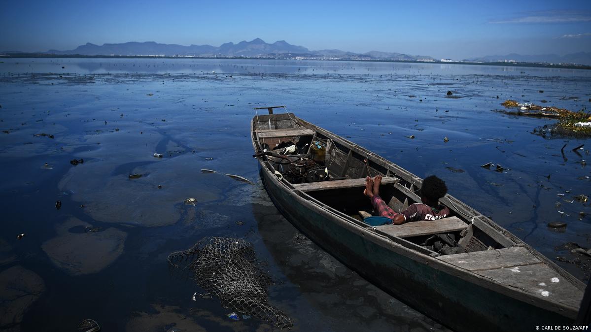 Hope for Brazil's polluted Guanabara Bay – DW – 04/19/2022