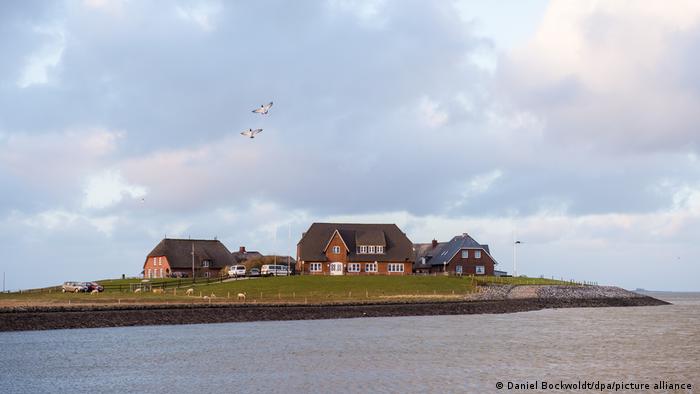 Warum die zehn deutschen Halligen so besonders sind | Alle ...