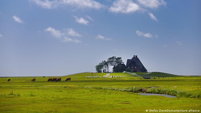 Warum die zehn deutschen Halligen so besonders sind | Alle ...