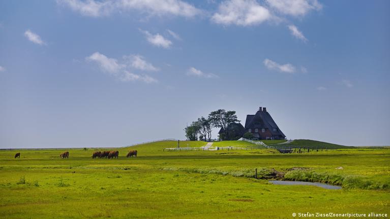 Why Germany's Hallig islands are unique