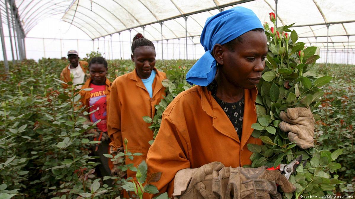 Wafanyakazi wachache kunufaika na nyongeza ya mshahara Kenya – DW – 12. ...