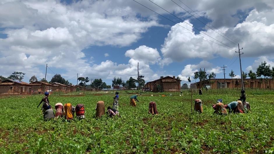 DRC women launch agricultural project to feed prisoners – DW – 05/27/2022