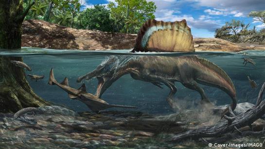 Discovered: Rare Spinosaurus fossils – DW – 06/10/2022