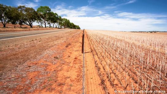 New Australian government ups 2030 climate target – DW – 06/16/2022