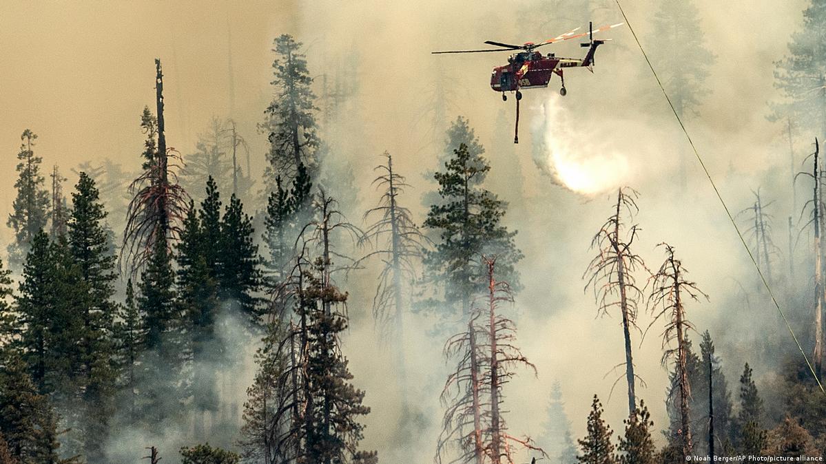 Yosemite National Park: Forest fire threatens some of Earth's oldest ...