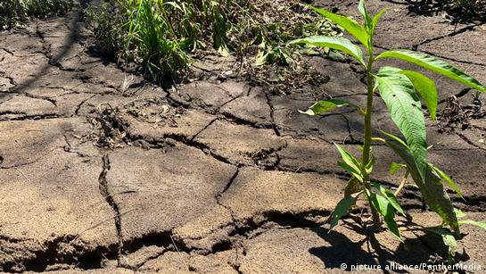 How to protect soil from future drought and heat waves