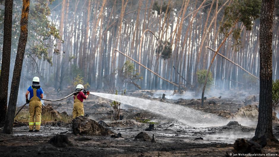 Germany: Wildfire situation 'very tense'