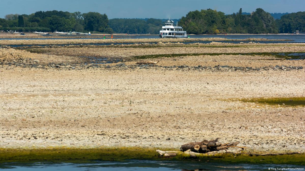 Drought: Germany's rivers dying of thirst – DW – 08/17/2022