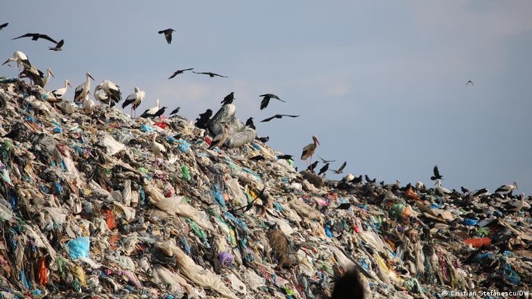 Romania’s Garbage Problem – DW – 08/18/2023