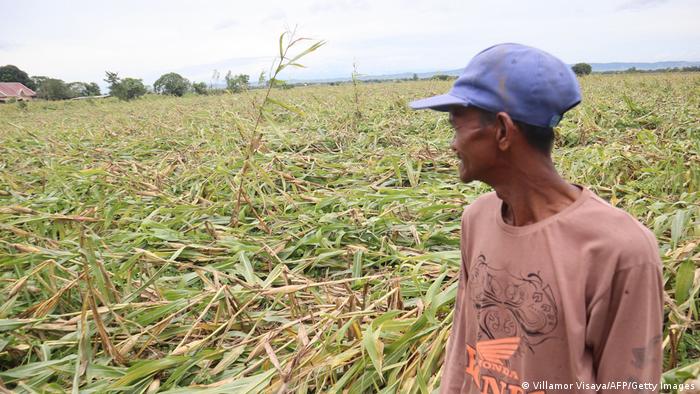 Philippines spends billions to boost crisis-hit agriculture | Asia | An in-depth look at news ...
