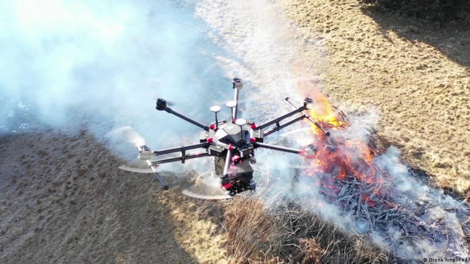 Forest fire prevention with artificial intelligence – DW – 08/26/2022