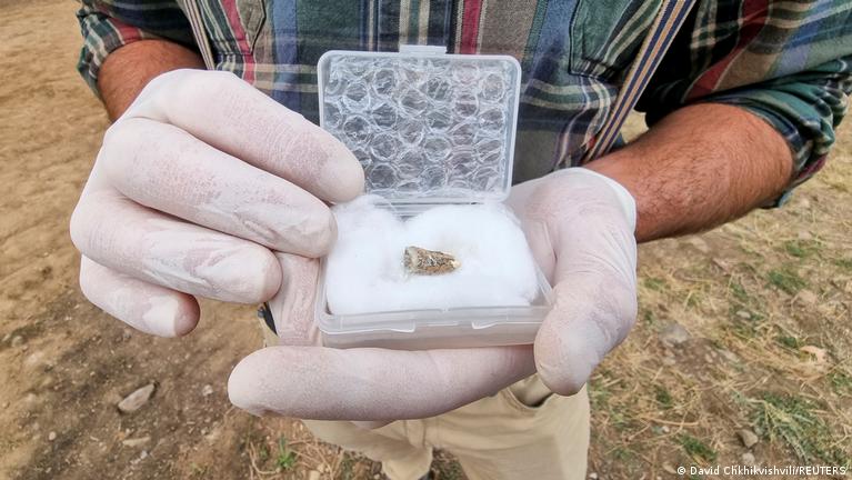 Dig unearths 1.8-million-year-old human tooth – DW – 09/09/2022