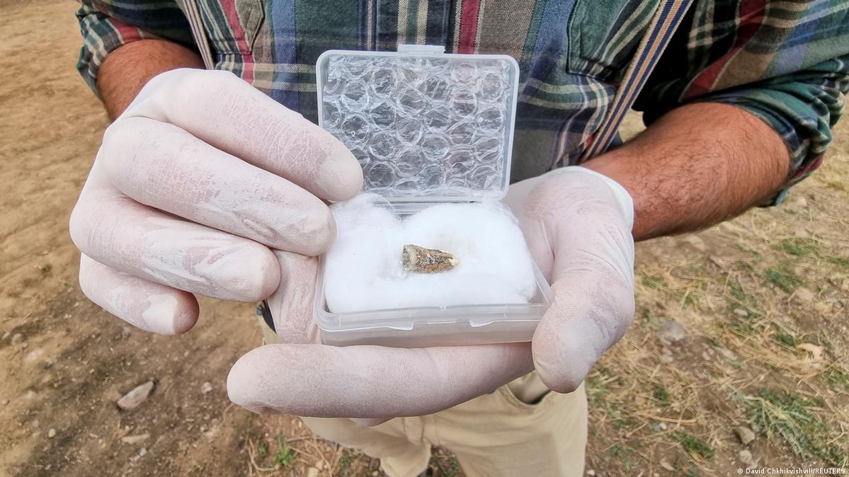 Dig unearths 1.8-million-year-old human tooth – DW – 09/09/2022