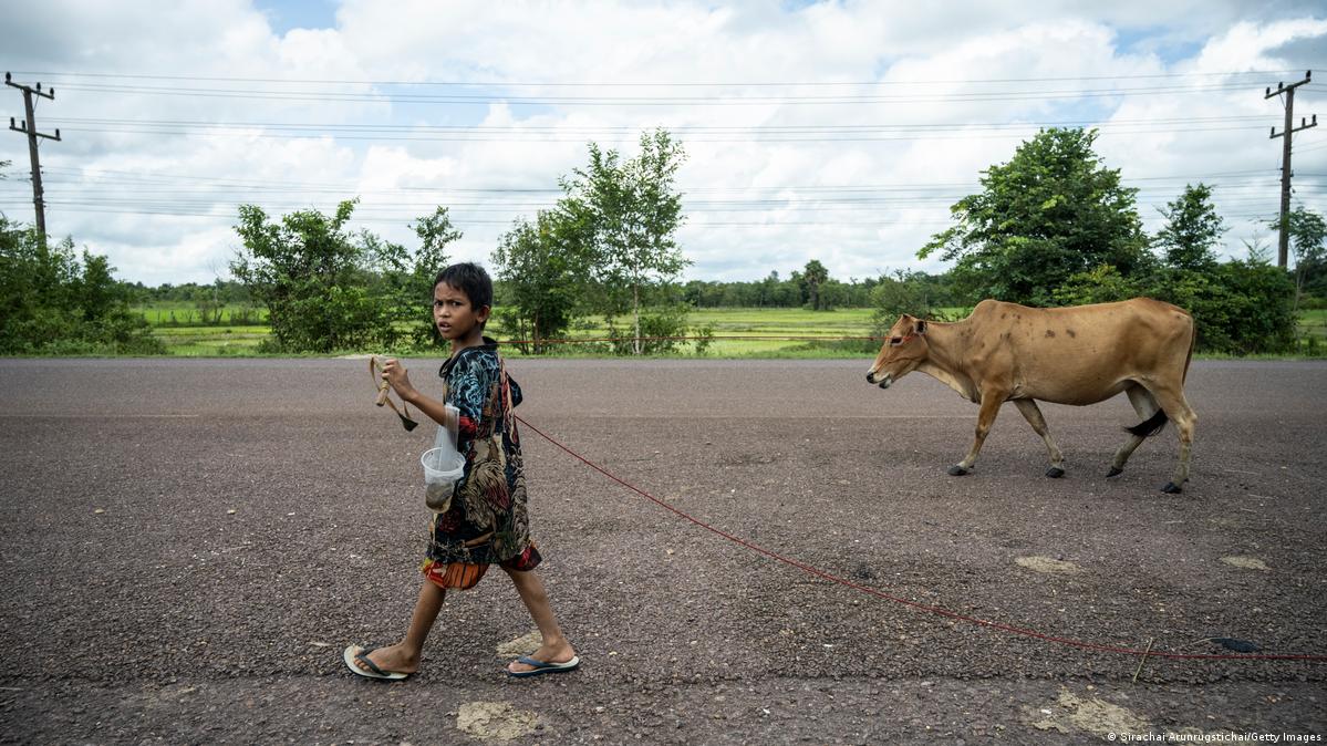 Can a green transition save the Mekong River? – DW – 05/30/2024