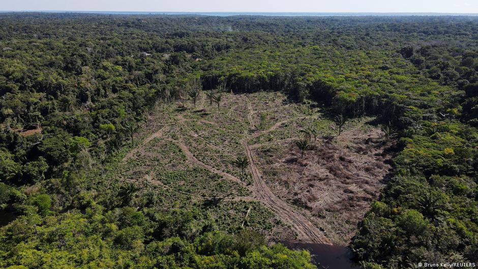 Brazil: Deforestation hit record high in run-up to election