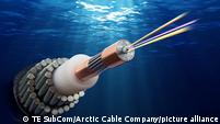 How sabotage on undersea cables affects our digital world – DW – 02/03/2025