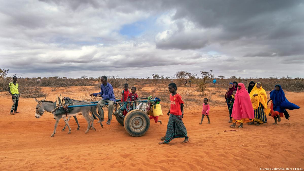 Somalia's food crisis claims young lives – DW – 11/22/2022