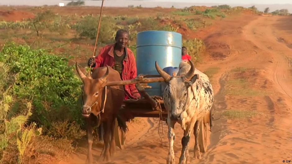 Madagascar's south waits for rain – DW – 10/13/2022