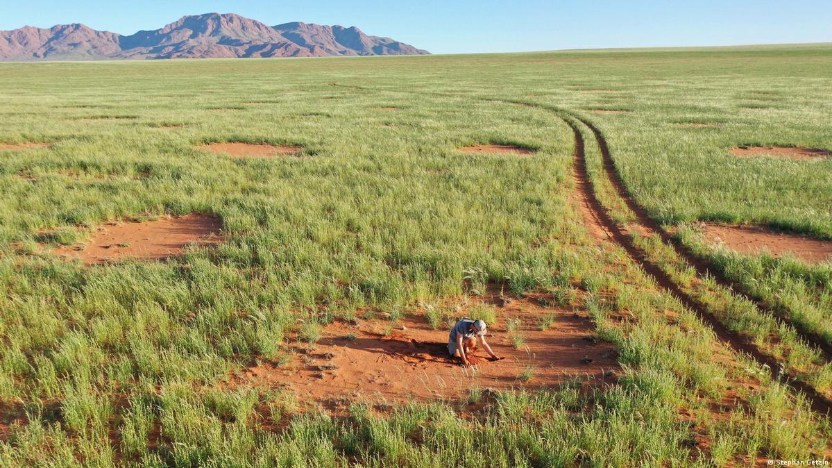 Необясним феномен: тайнствените "пръстени" от Намибия – DW – 5.04.2024