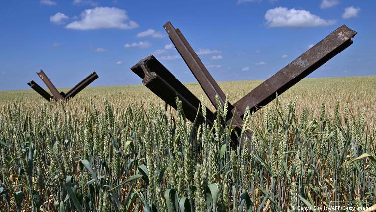 Five facts on grain and the war in Ukraine