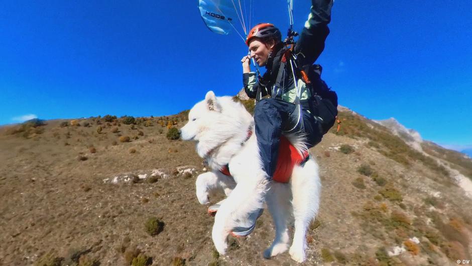 Ouka, el perro volador de los Alpes