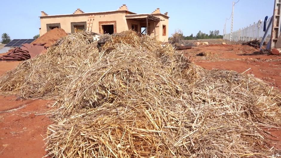 Sustainable housing for Morocco – DW – 11/24/2022