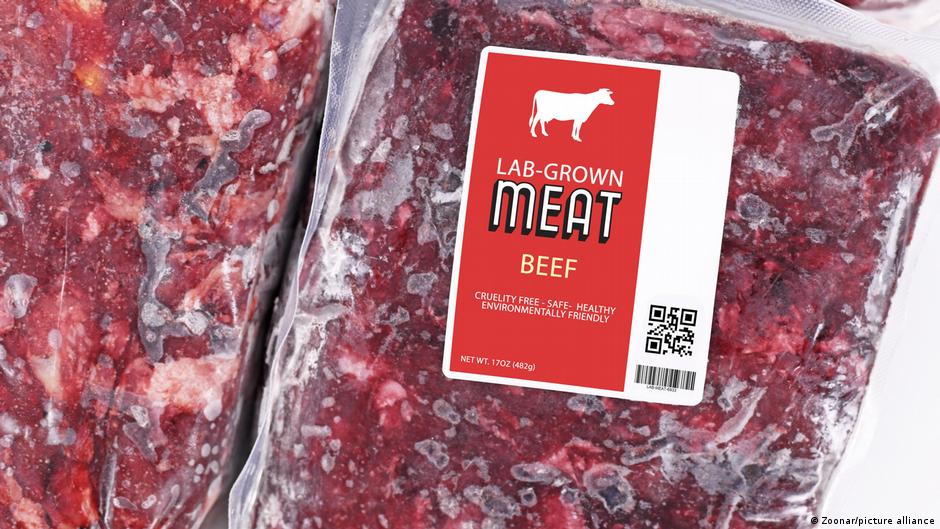 Debunking myths about lab-grown meat – DW – 10/05/2023