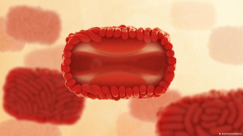 Monkeypox to be renamed 'mpox,' WHO says – DW – 11/28/2022