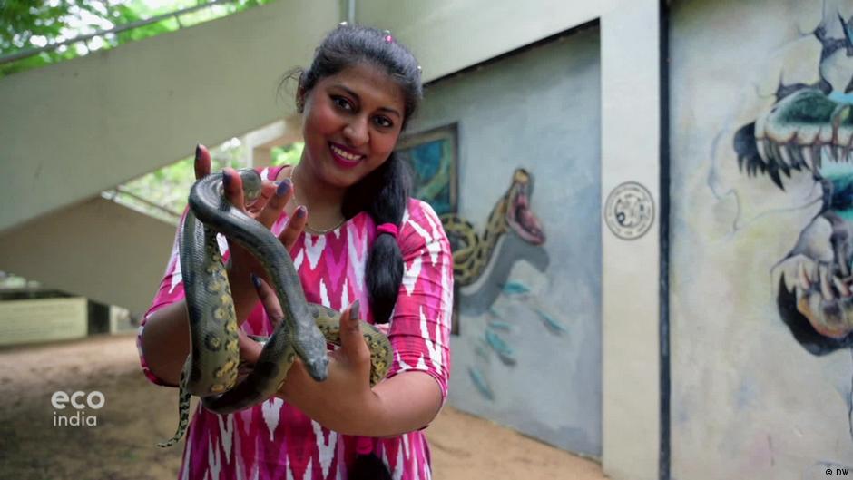 What's the job of a zoo education officer? – DW – 12/01/2022