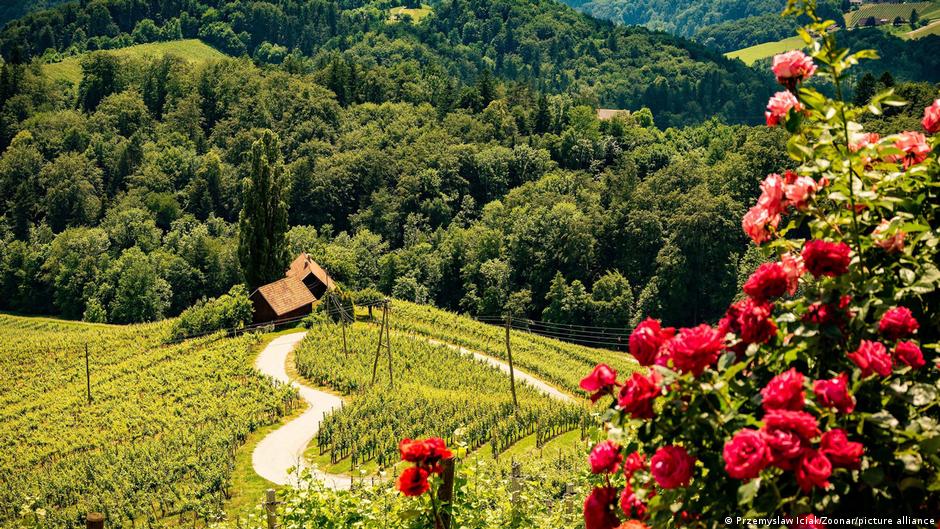 Matangazo ya Mchana 29.12.2022 – DW – 29.12.2022