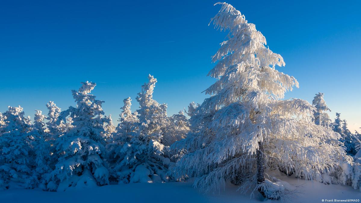 Magische Wintergeschichten – DW – 13.12.2022