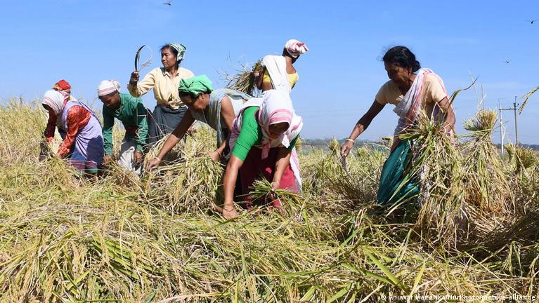 India's tribes living on the margin of society