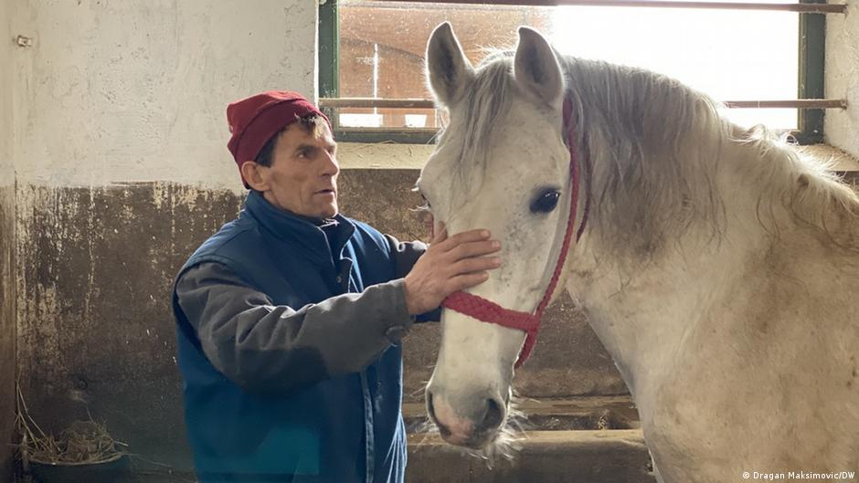 Čudesni i graciozni lipicaneri – DW – 11.12.2022