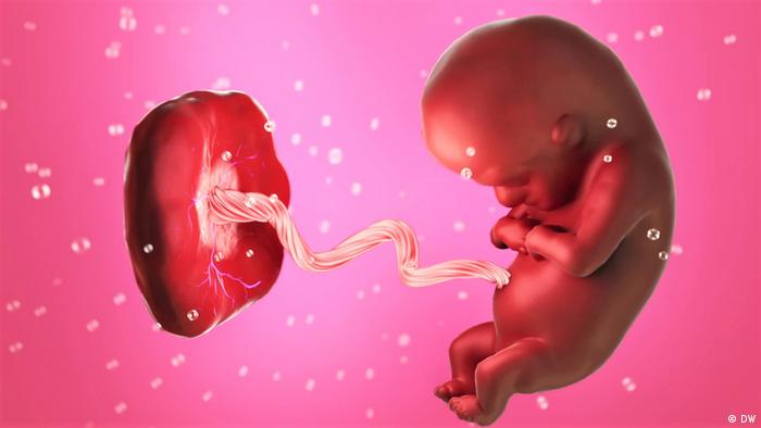 Plazenta-Gewebe als Pflaster fürs Auge | Wissen & Umwelt | DW | 03.02.2023