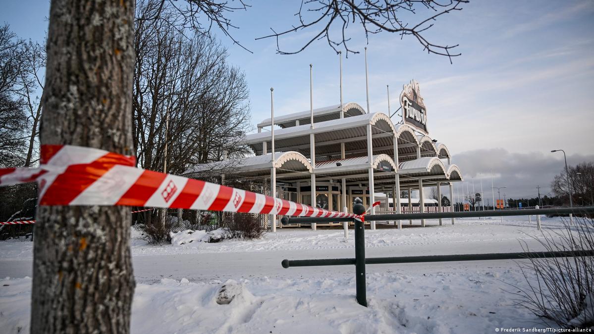 Swedish zoo shoots 3 chimpanzees dead after they escape – DW – 12/15/2022