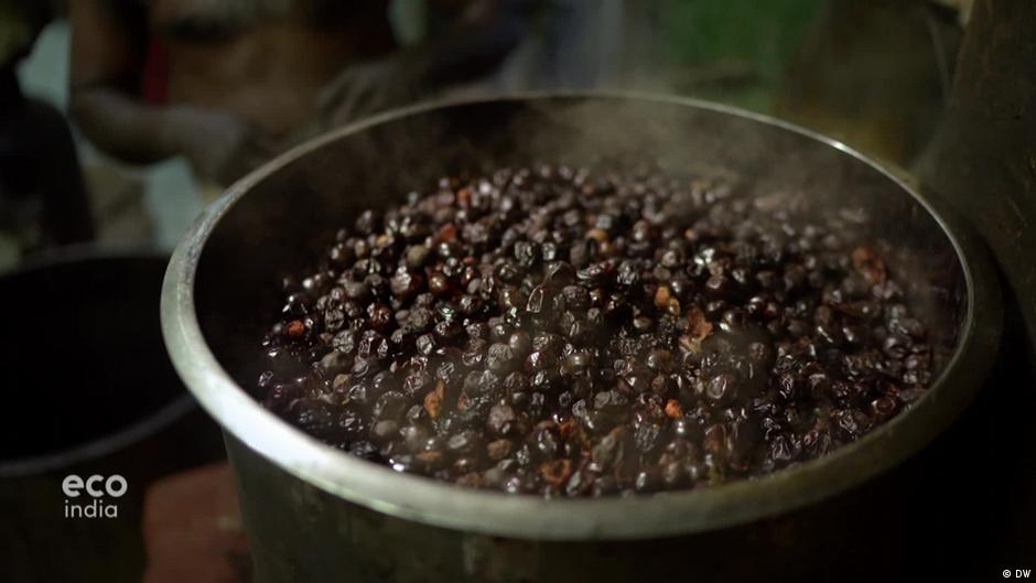 Organic jujube jam from Tamil Nadu – DW – 01/06/2023