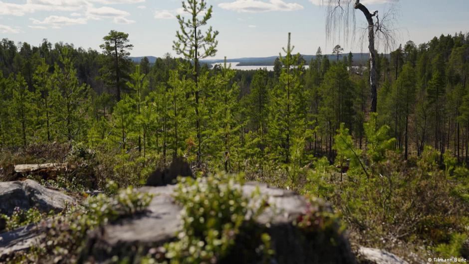 Lapland - The Last Primeval Forests – DW – 01/13/2023