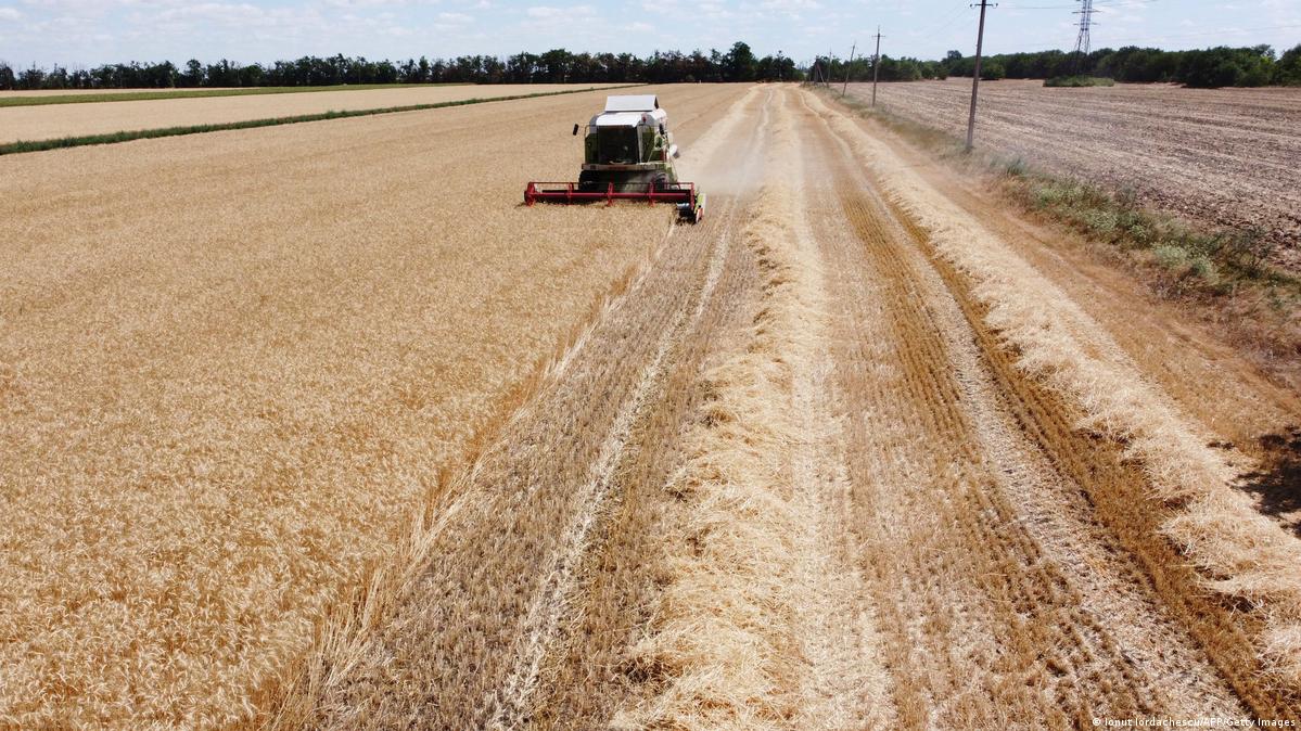 Ukraine grain deal – DW
