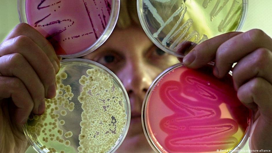 Microbes for food security? – DW – 02/24/2023