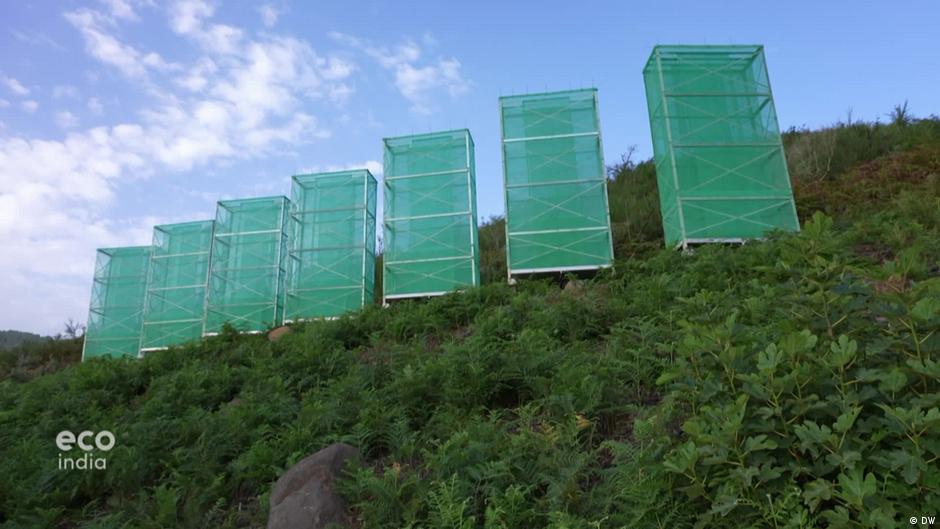 Harvesting water from fog – DW – 02/09/2023