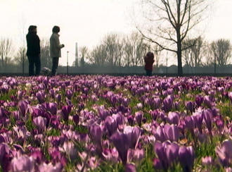 Spring is springing and spring fever rising – DW – 03/31/2011