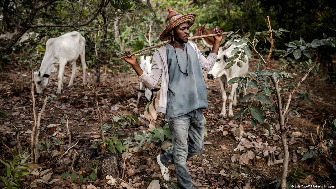 Nigeria: Farmer-herder conflict exposes government inaction - Naijiant