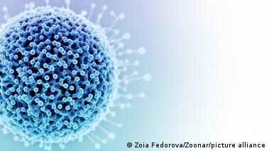 Nanocápsulas control remoto amplían efecto de quimioterapias – DW – 07 ...