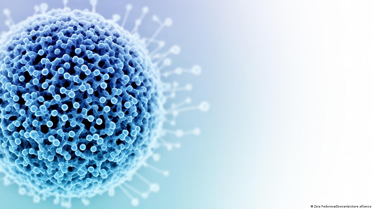 كيف يمكنك حماية نفسك من متحور كورونا الجديد؟ – DW – 2024/1/30