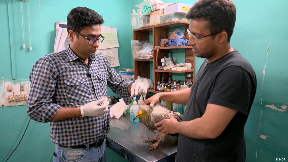 Oscars: 'All That Breathes' vies for best documentary award – DW – 03 ...