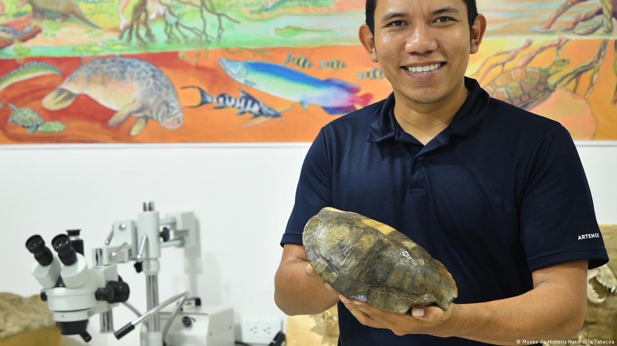 Descubren nuevo fósil de tortuga de hace 13 millones de años