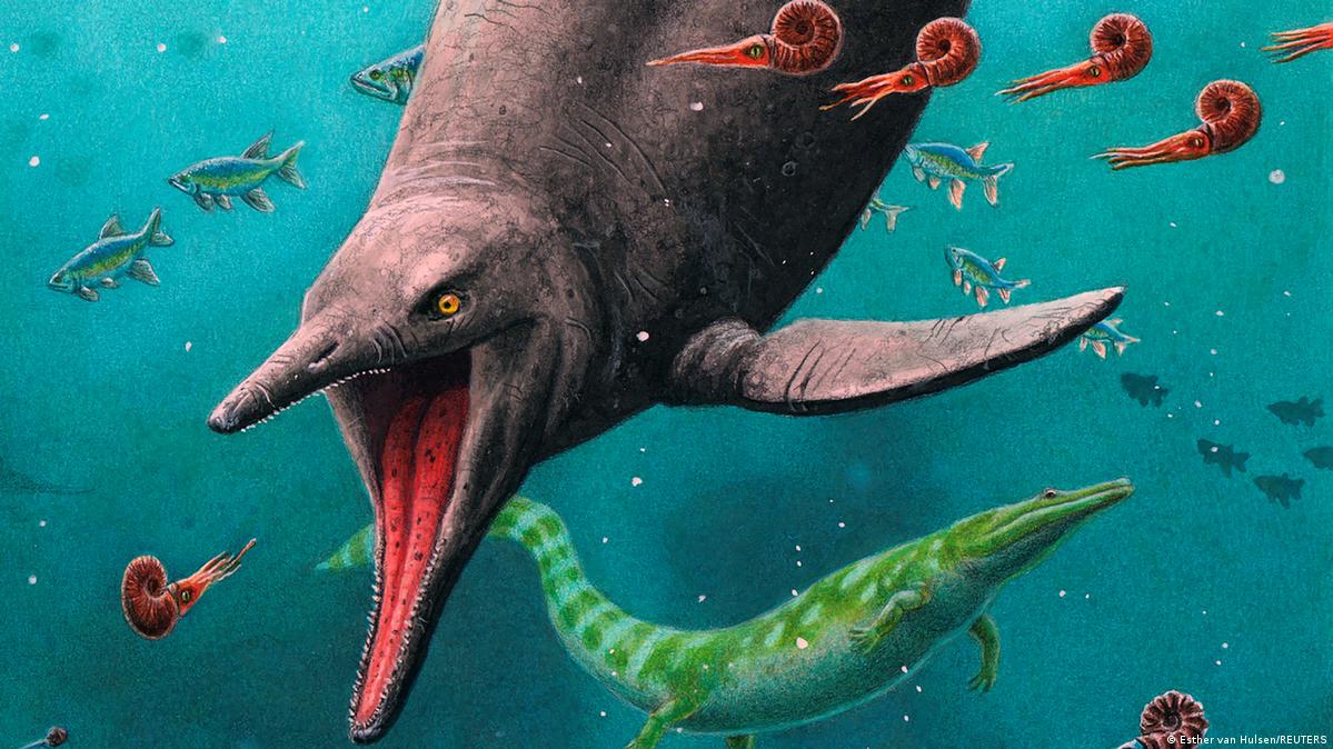 Hallan los fósiles más antiguos de un gran reptil marino – DW – 20/03/2023